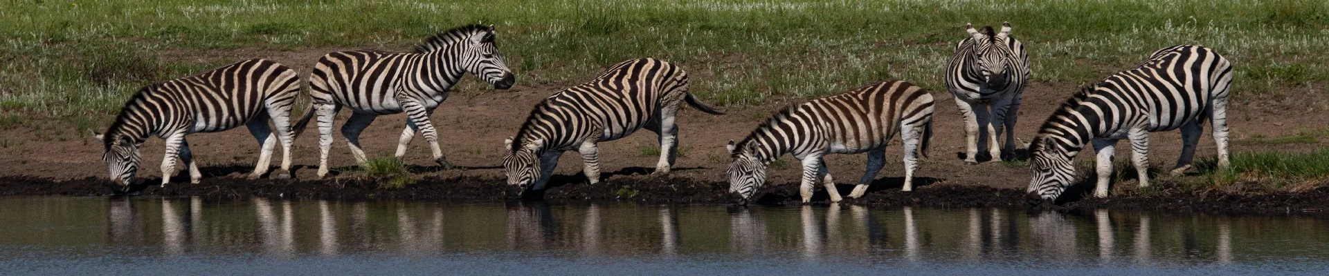 Africa Tours Best Wildlife Safari Mountain Trekking Tour Company